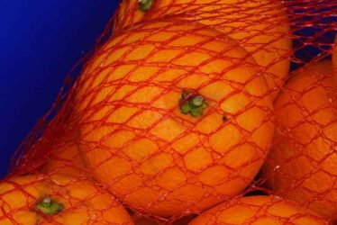 Why Are Oranges Packed In Red Nets? Content Creator Busts This ...
