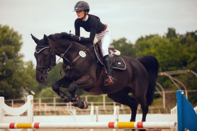 UAE National Show Jumping Team To Compete In Paris Olympics Today ...