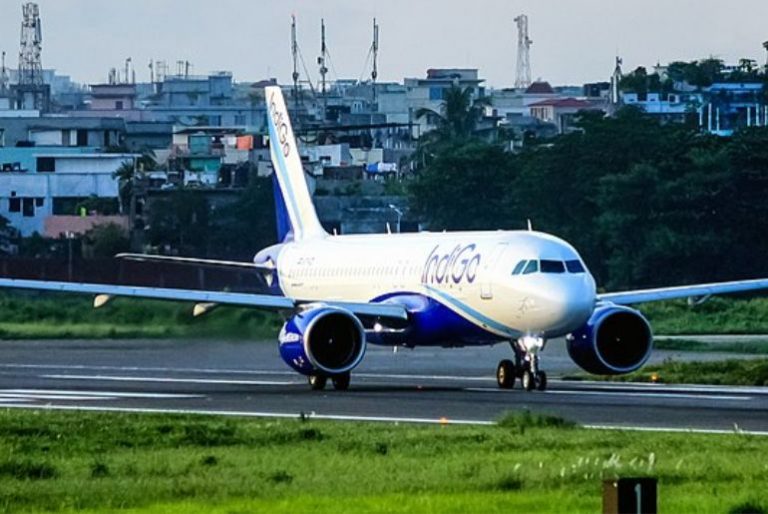 Lizard Spotted On Mumbai-Ranchi IndiGo Flight; Take-Off Delayed By Hours