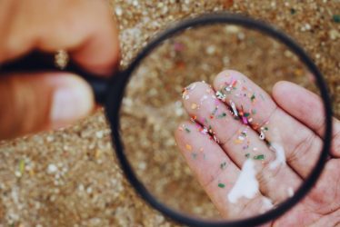 Microplastics Enter Human Bodies Through Food Intake; 6 Food Items With ...