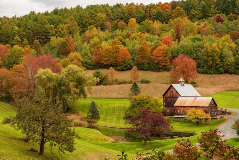 Not The Fish, But Pomfret Town In Vermont Has Banned Influencers During ...