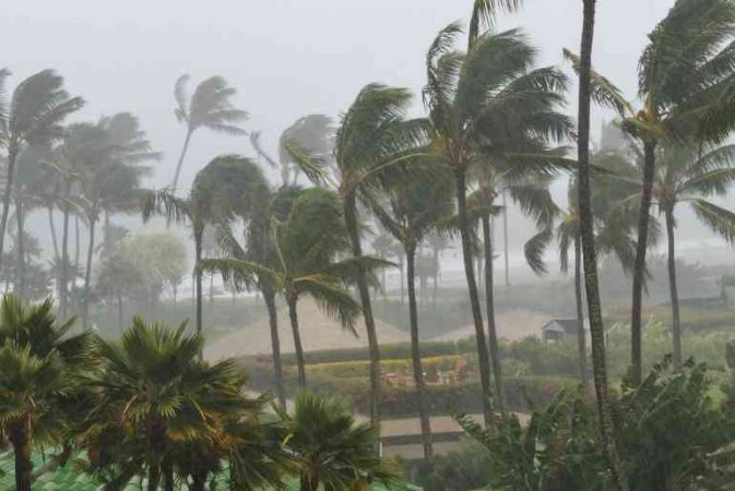 Cyclone Dana Makes Landfall; IMD Issues Flash Flood Warnings In 16 ...
