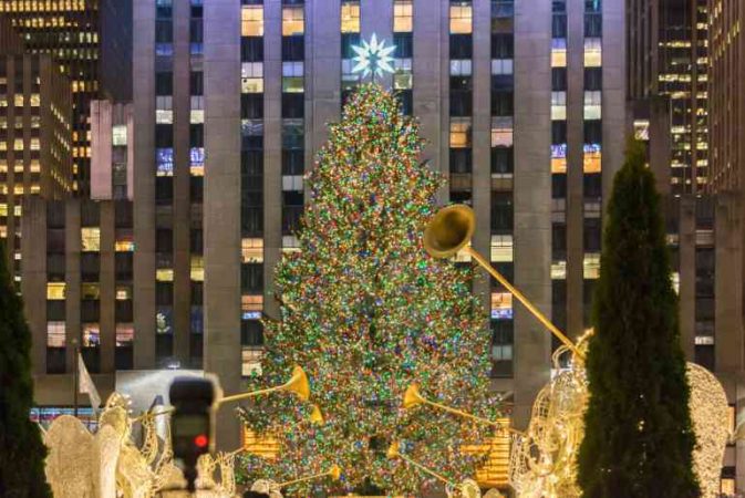 Rockefeller Center New York Has Chosen A 70 YO, 11-Ton Christmas Tree ...