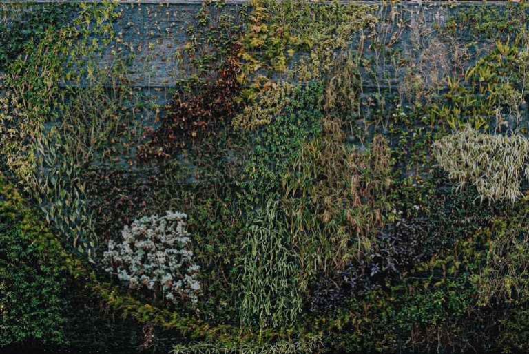 T2 Terminal At Bengaluru Airport Gets Tiger Wings, A 30-Foot-High ...