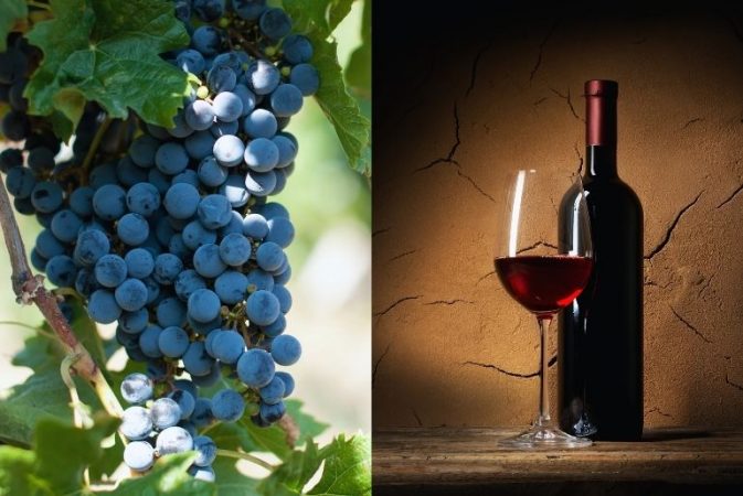 International Merlot Day: From History To Celebration To Best Merlot ...