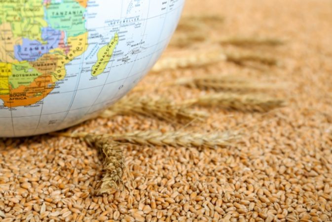 Report Reveals 1 Out Of 11 People Worldwide Face Hunger; Here's Why ...