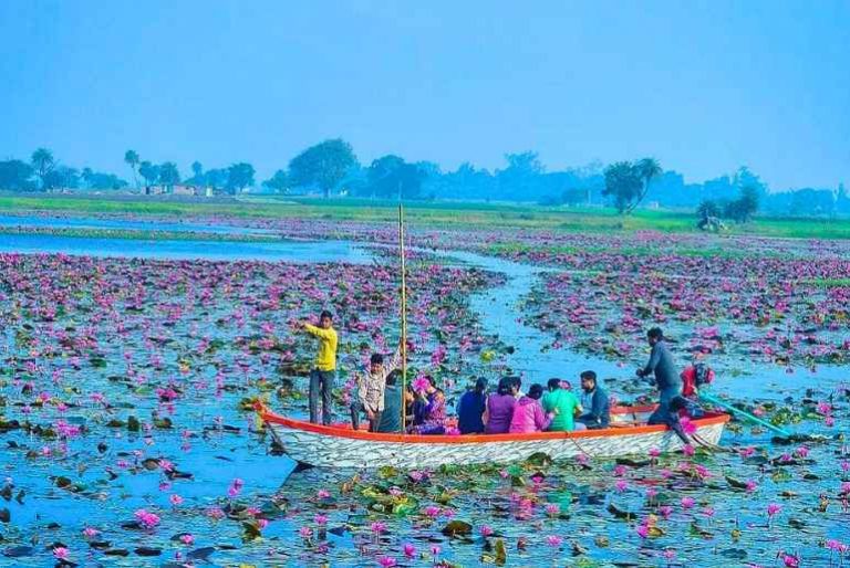 Asia’s Largest Lotus Valley Is Located In Indore And Here’s Why You ...