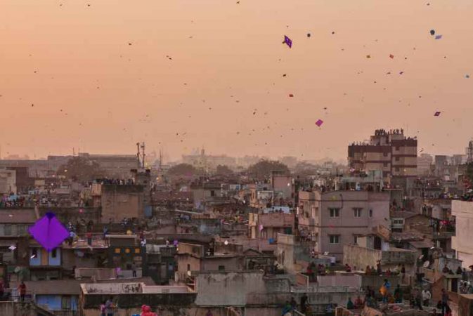 Makar Sankranti: 4,000 Birds Injured In Ahmedabad, 1000 In Mumbai In ...