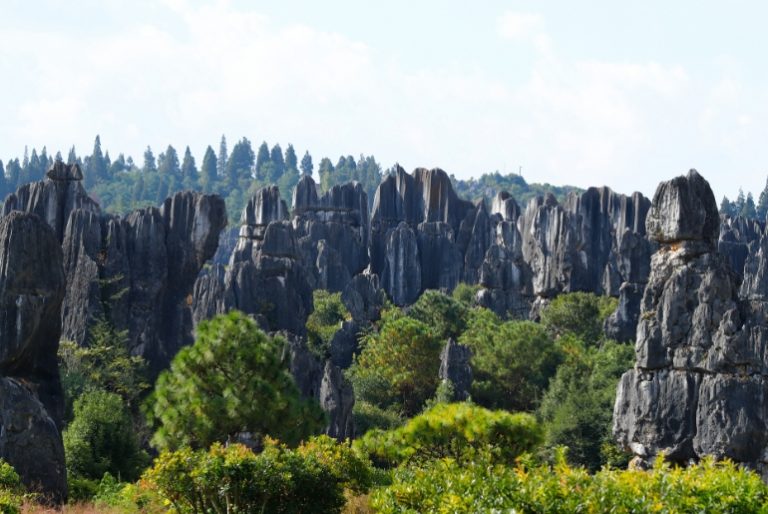 From Rainbow River To Crooked Forest, 25 Offbeat Destinations You Must ...