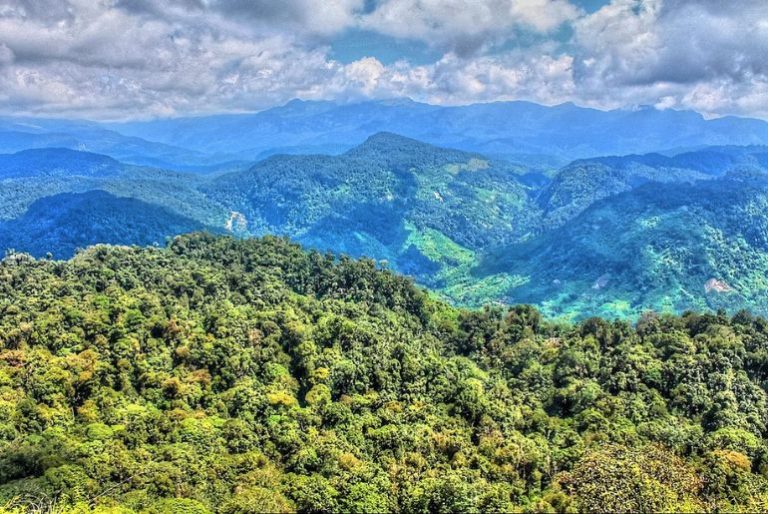 8 Things To Do In Valparai, The Off-The-Beaten Path Hill Station Of ...