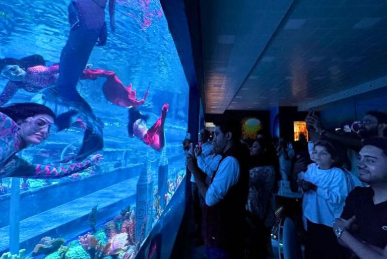 Aquarium Paradise Opens in Bengaluru: 5 Stunning Reasons It’s India’s ...