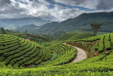 Now, Witness Breathtaking Views From Kalimpong Loop Bridge! 2 ...