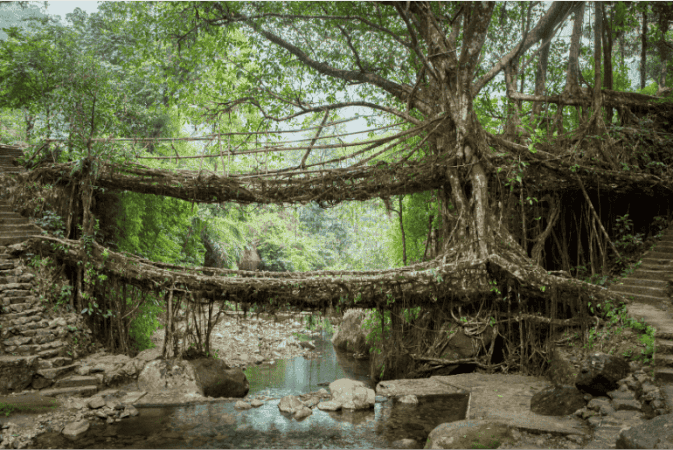 7 Days In Meghalaya: A Complete Guide To Shillong