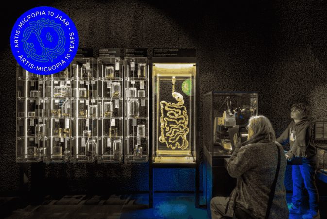 Amsterdam Is Home To World's Only Microbes Museum, ARTIS-Micropia ...