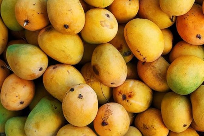 5 Most Expensive Mango Varieties In India And What Makes Them So Pricey ...