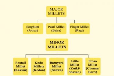 How Healthy Are Millets For Your Cardiovascular Health And Weight ...
