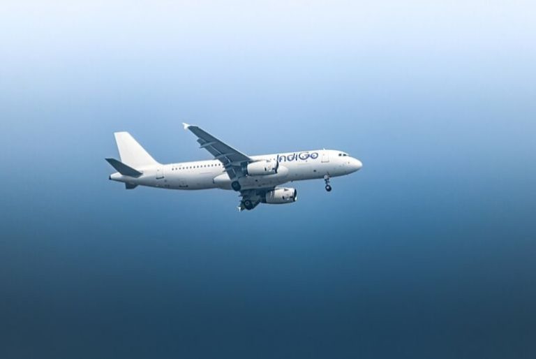 IndiGo Nagpur-Kolkata Flight With 272 Passengers, Faces Bird Hit ...
