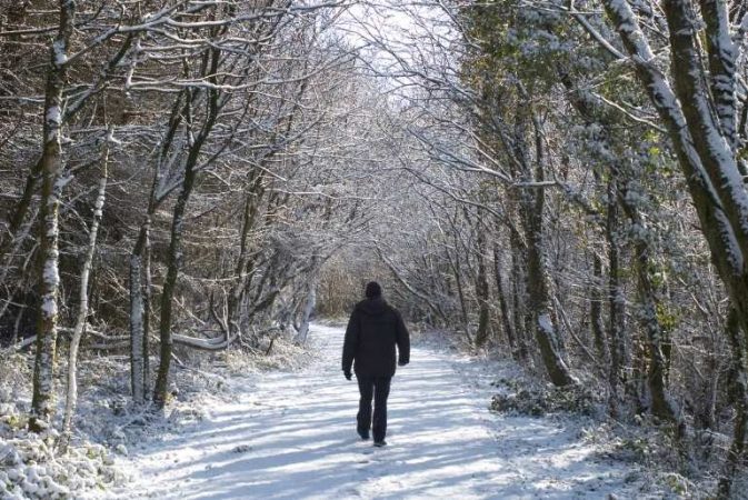 What Is Winter Arc? Why And How Does It Dictate Our Cravings And ...