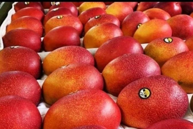 From Miyazaki Mango At ₹1.5 Lakh To Sindhri At ₹12K, 10 Costliest ...